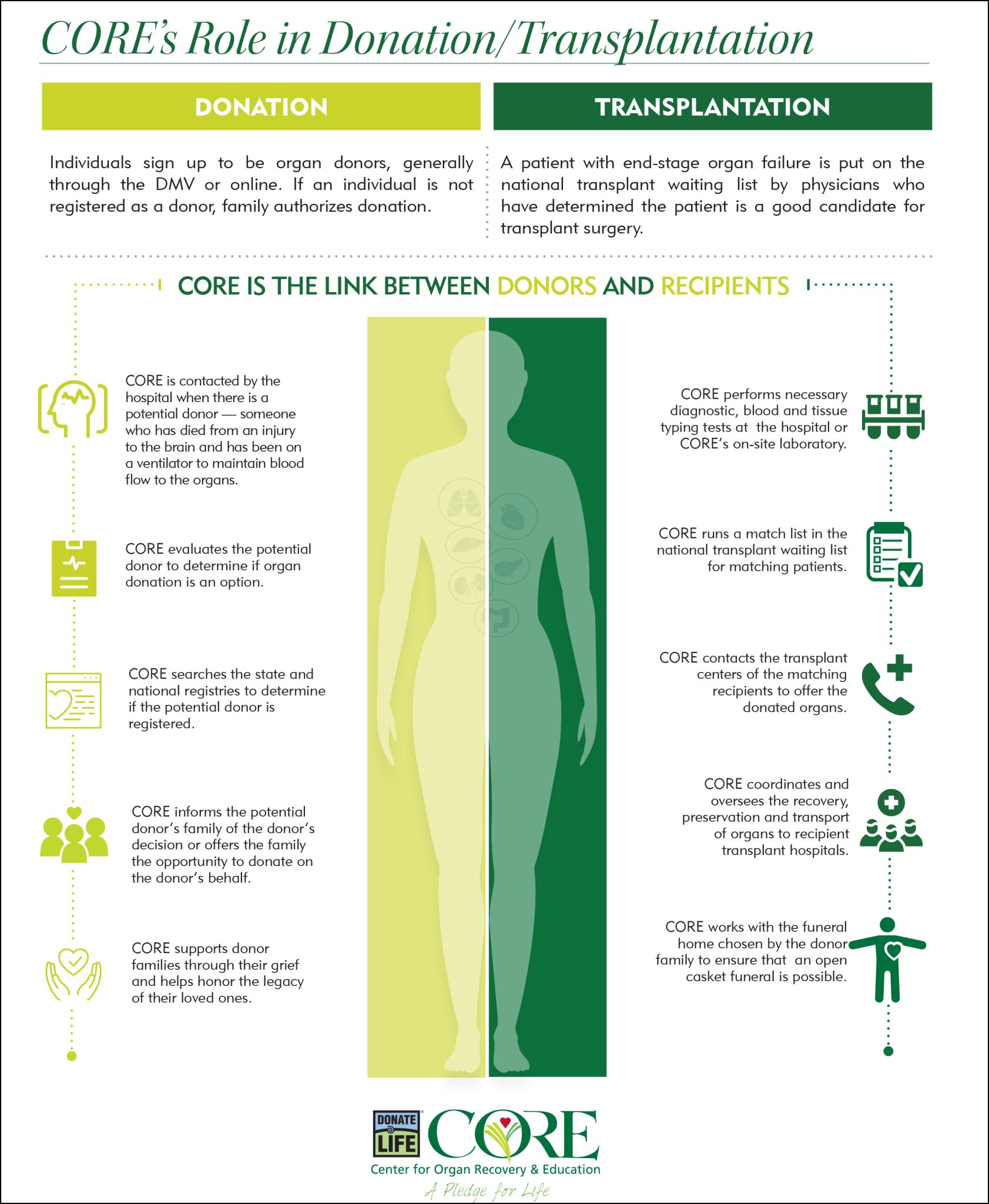 Fast Facts | CORE | Center for Organ Recovery & Education