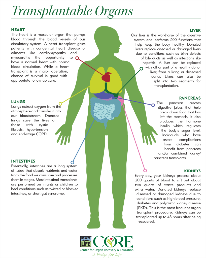 Fast Facts | CORE | Center for Organ Recovery & Education